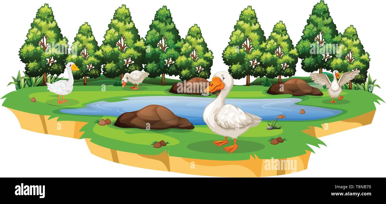 Duck Pond Clip Art