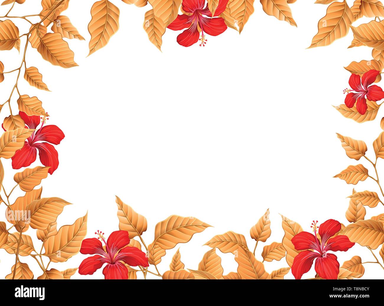 Flower and leaf border illustration Stock Vector Image & Art - Alamy