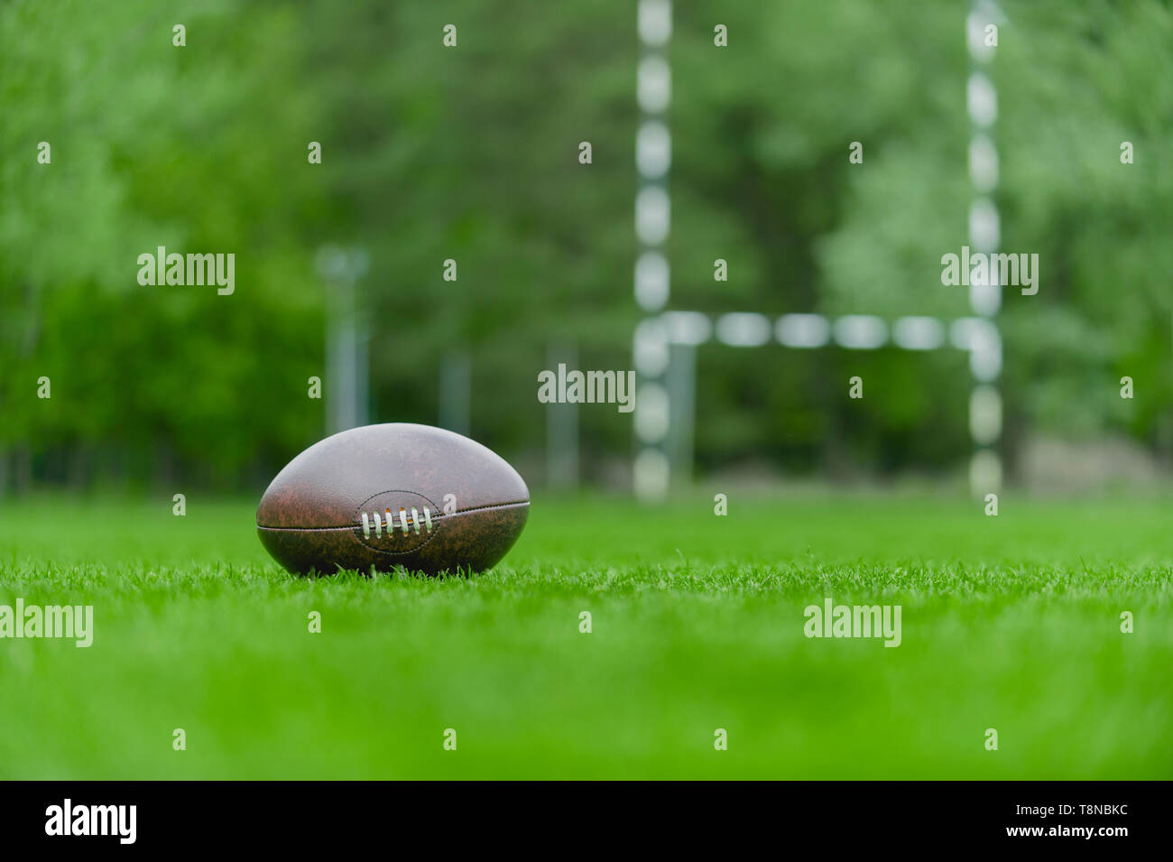 American football, rugby ball on green grass field background Stock ...