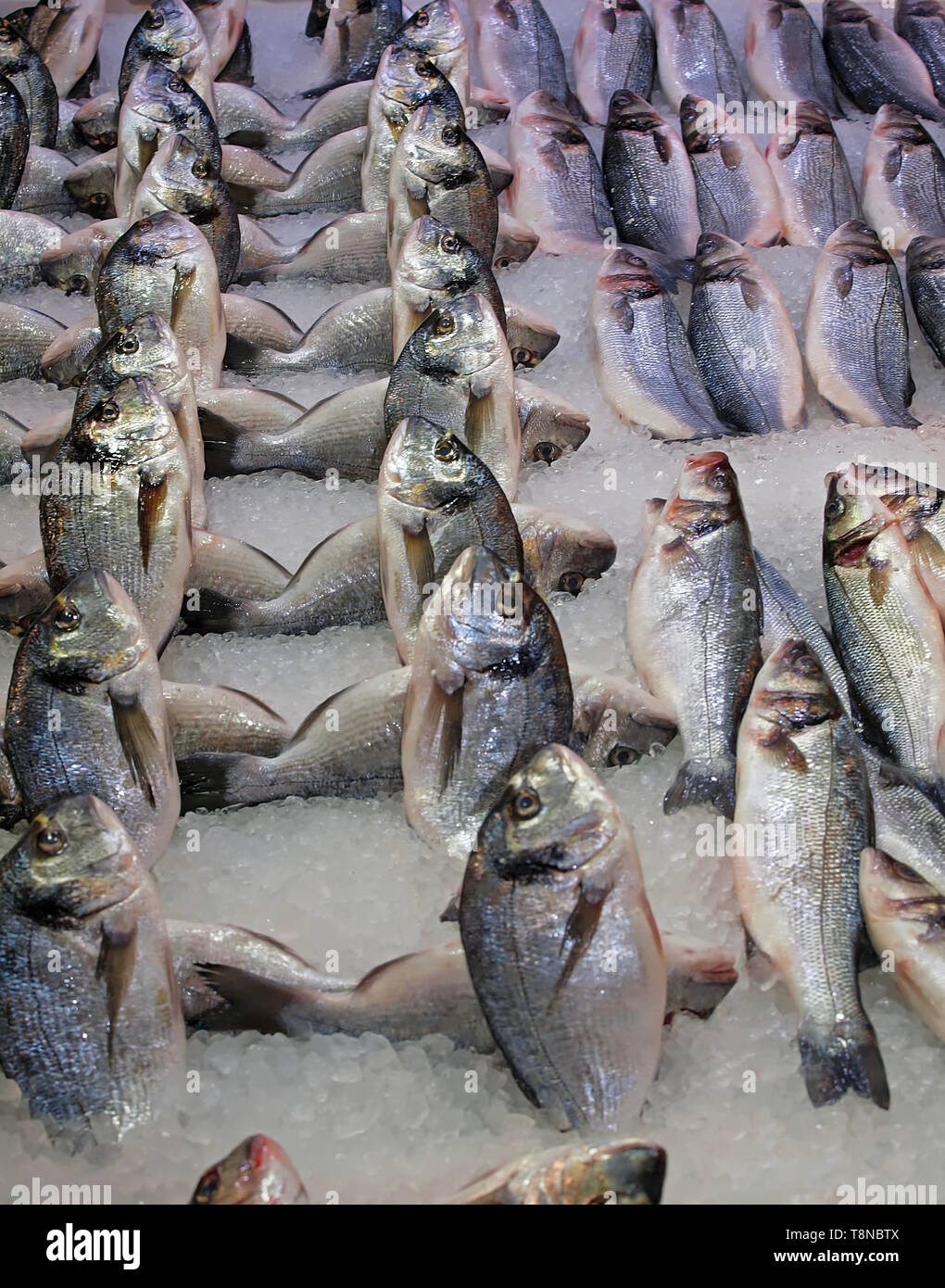 Fresh whole fish on ice at a food market Stock Photo - Alamy