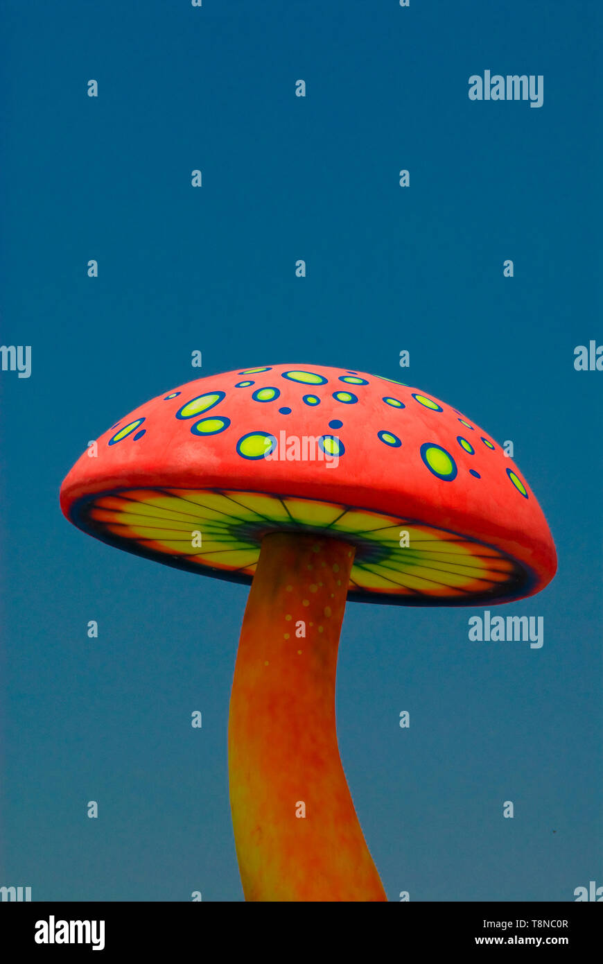 Giant mushroom at a theme park Stock Photo - Alamy
