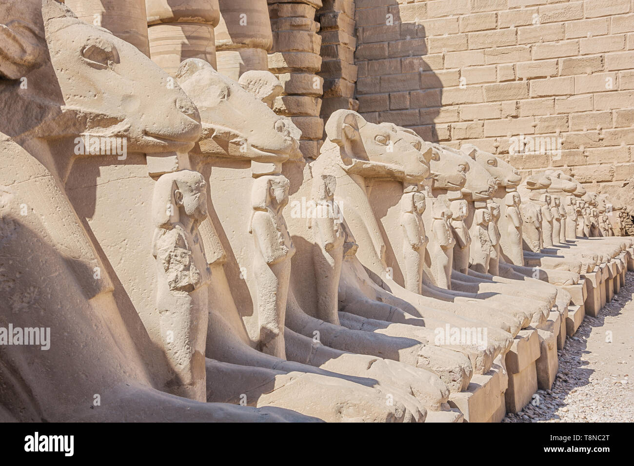 Close up of aligned sphinxes inside the Temple of Karnak Stock Photo ...