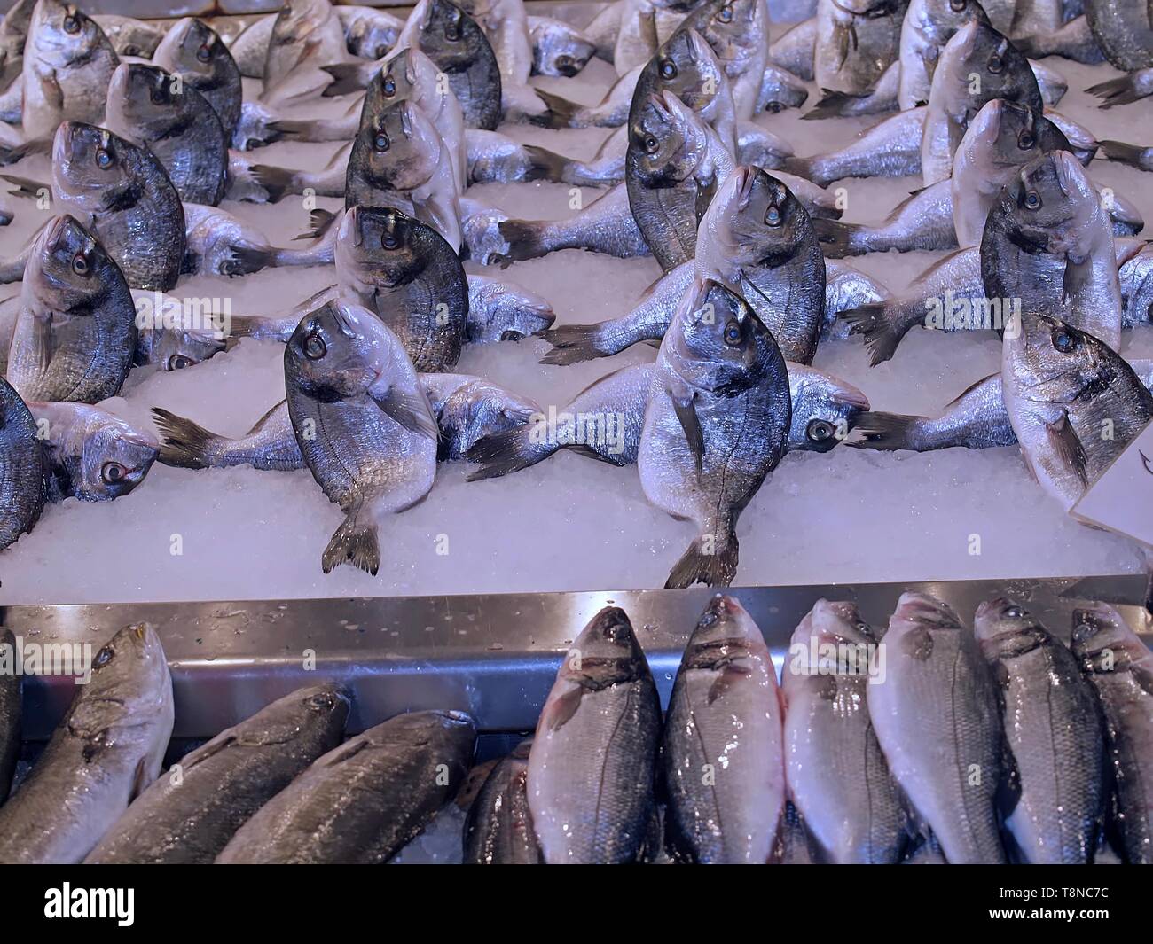 Fresh whole fish on ice at a food market Stock Photo - Alamy