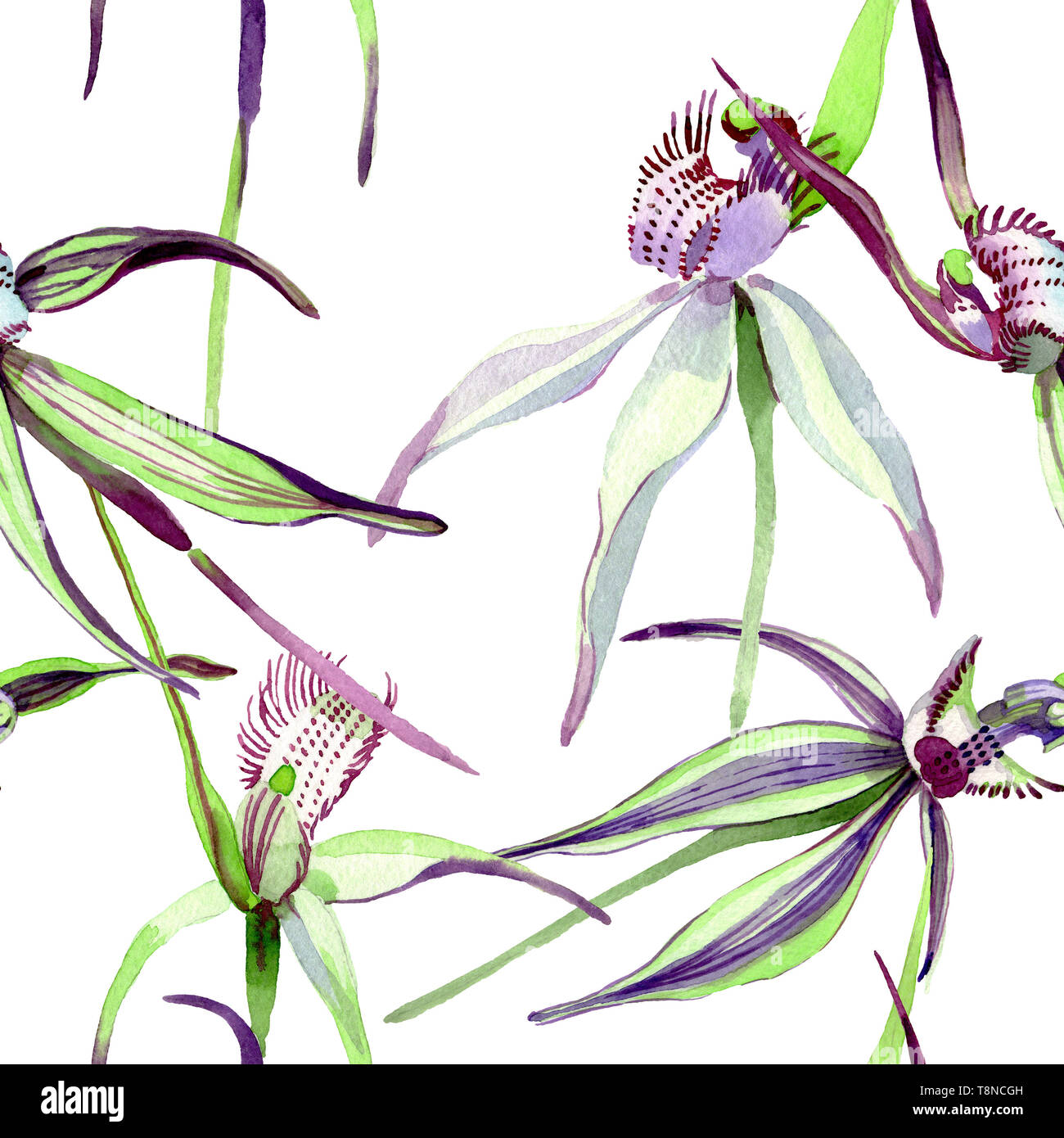 Wild orchid floral botanical flowers. Watercolor background ...