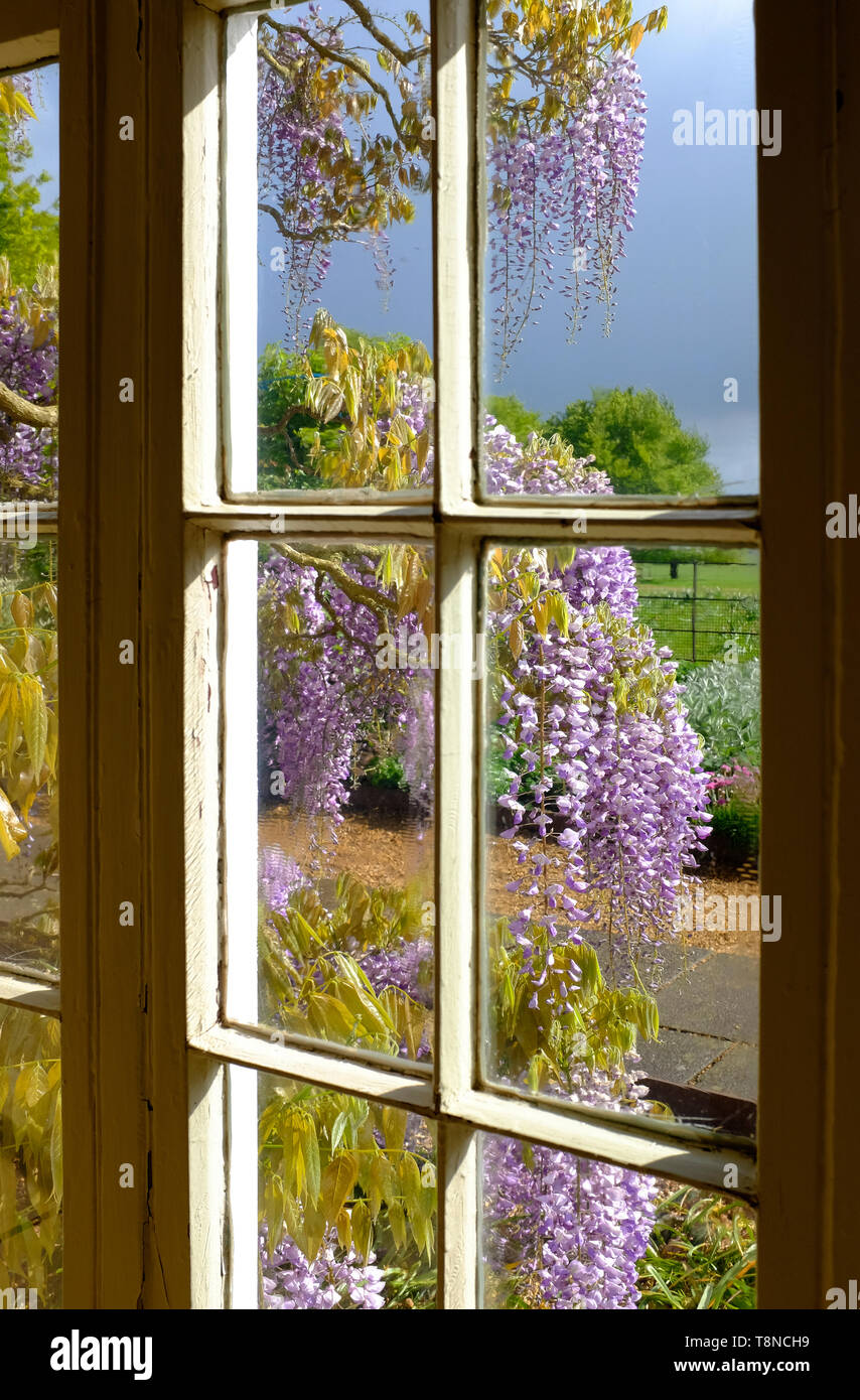 Garden through window hi-res stock photography and images - Alamy