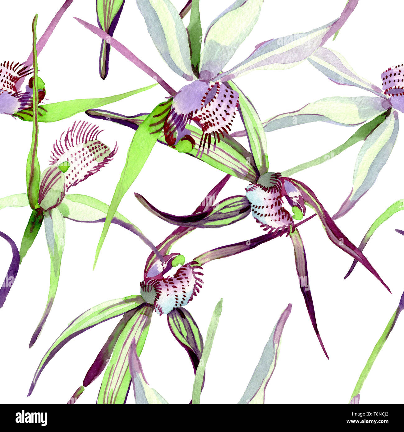 Wild orchid floral botanical flowers. Watercolor background ...