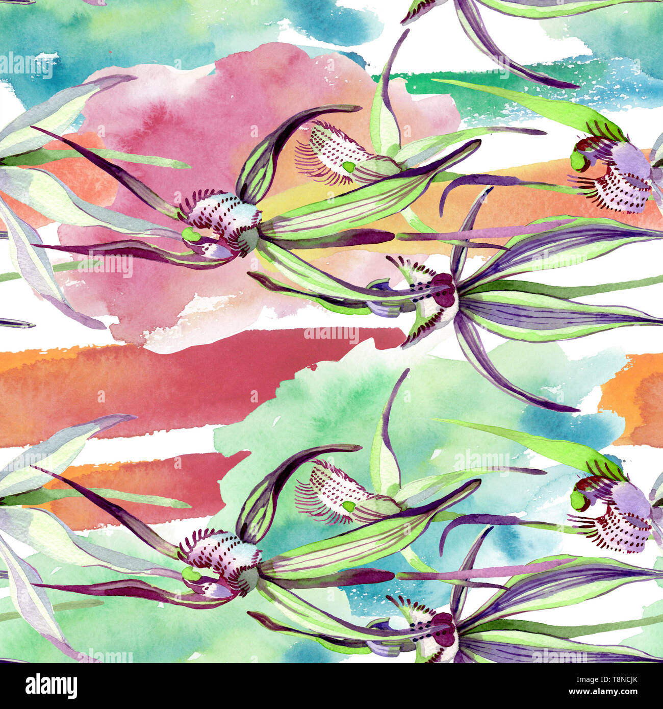 Wild orchid floral botanical flowers. Watercolor background ...