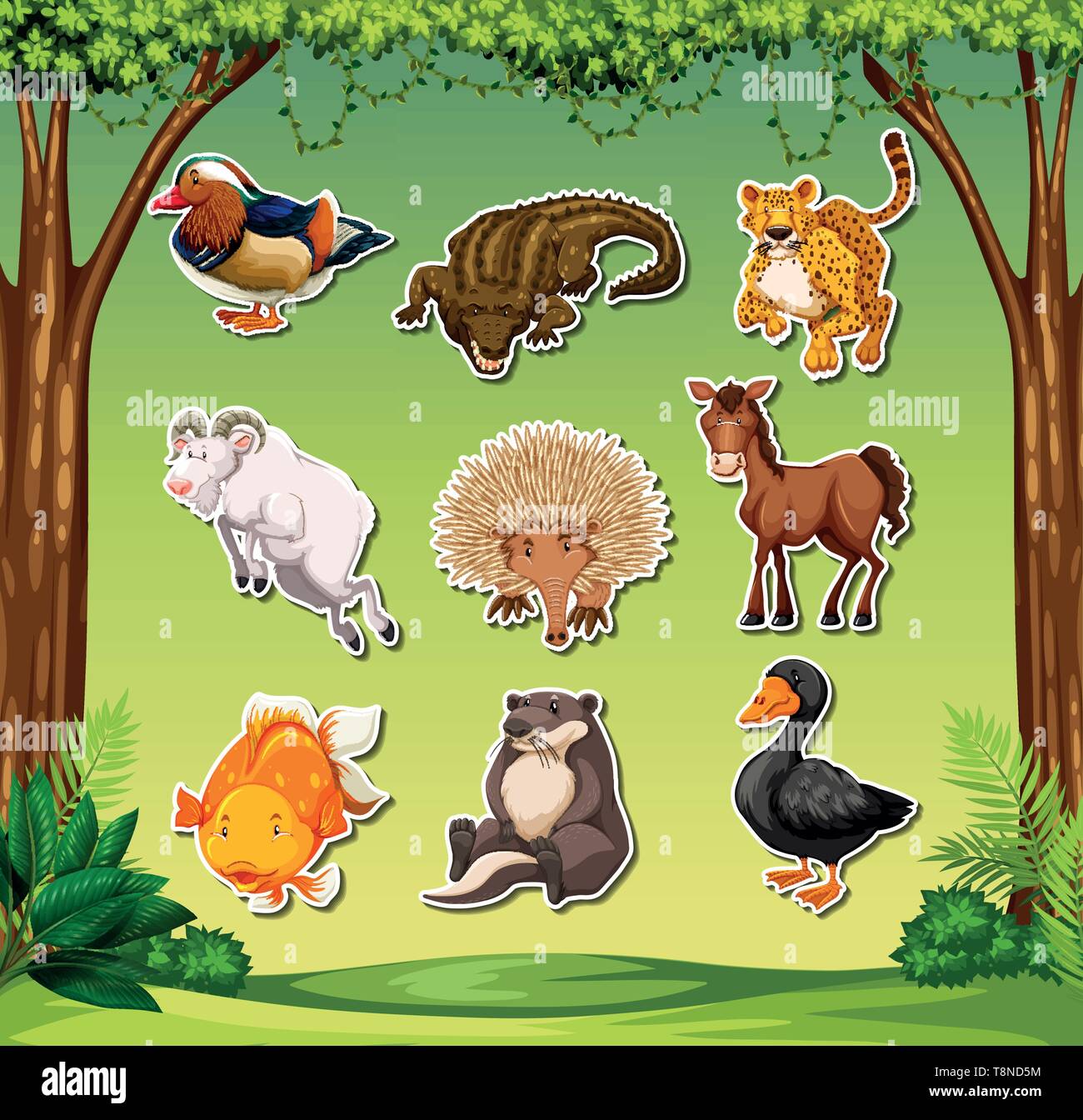 Set of animal sticker pack illustration Stock Vector Image & Art - Alamy
