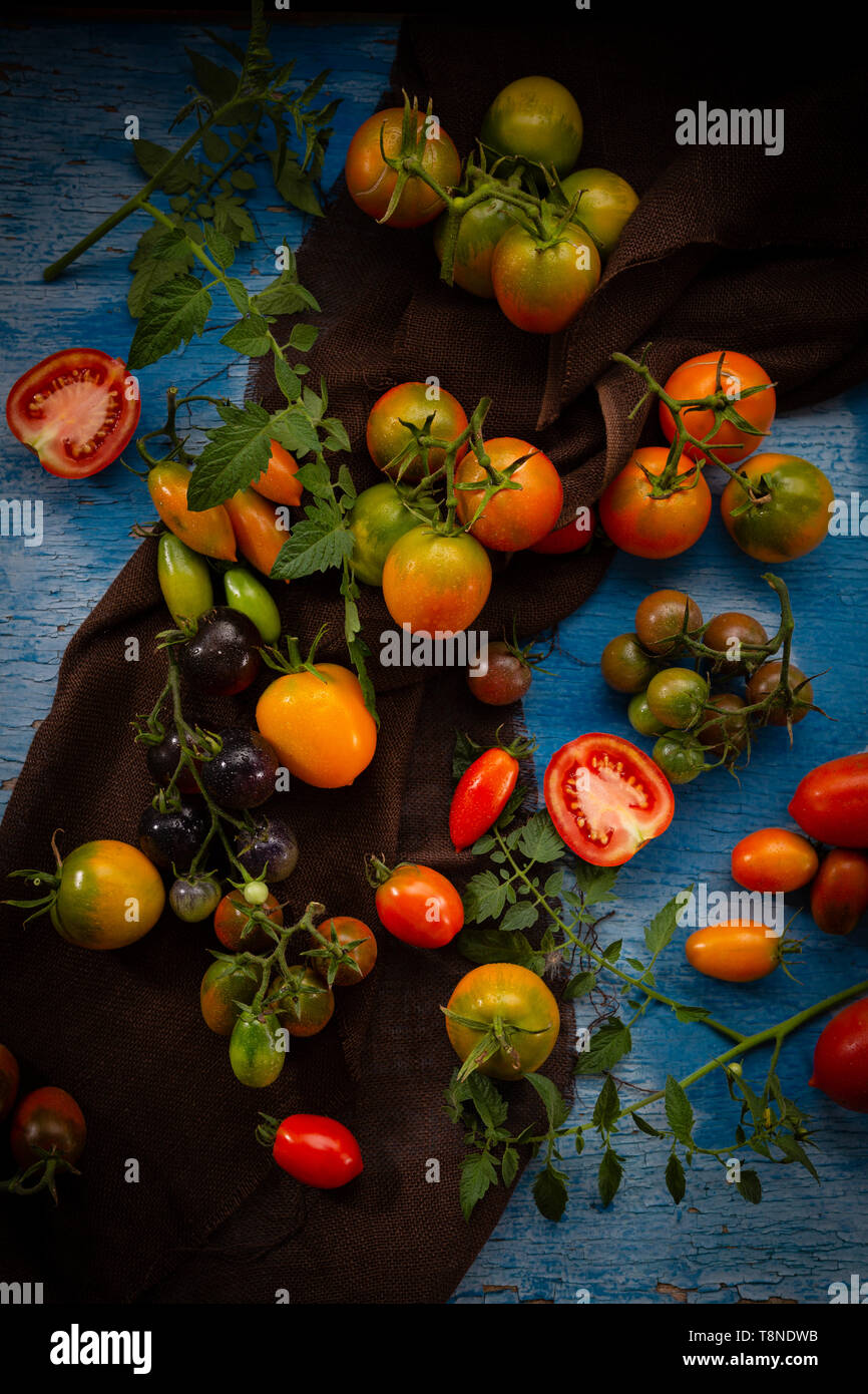 Local tomatoes set top view Stock Photo - Alamy
