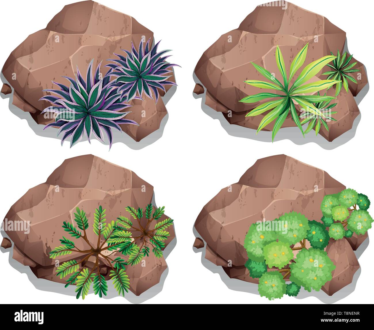 Set of nature rock illustration Stock Vector Image & Art - Alamy