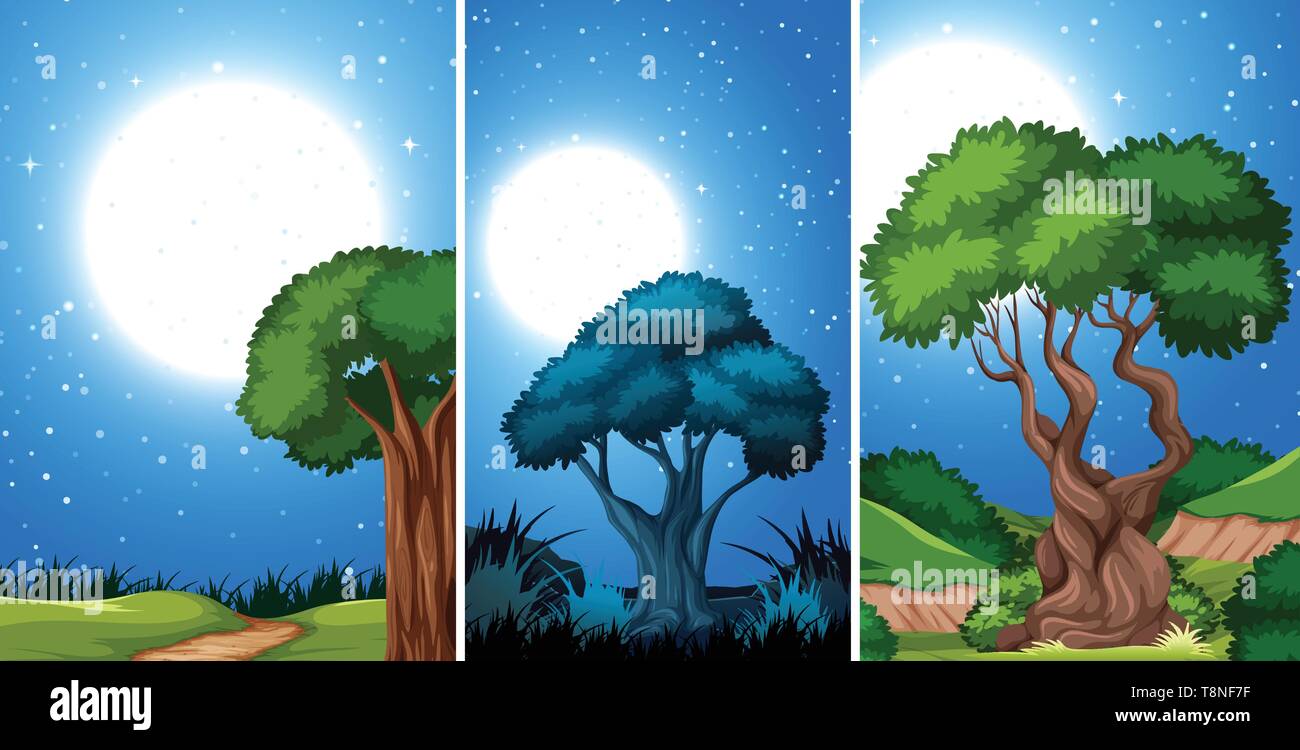 At night park Stock Vector Images - Alamy
