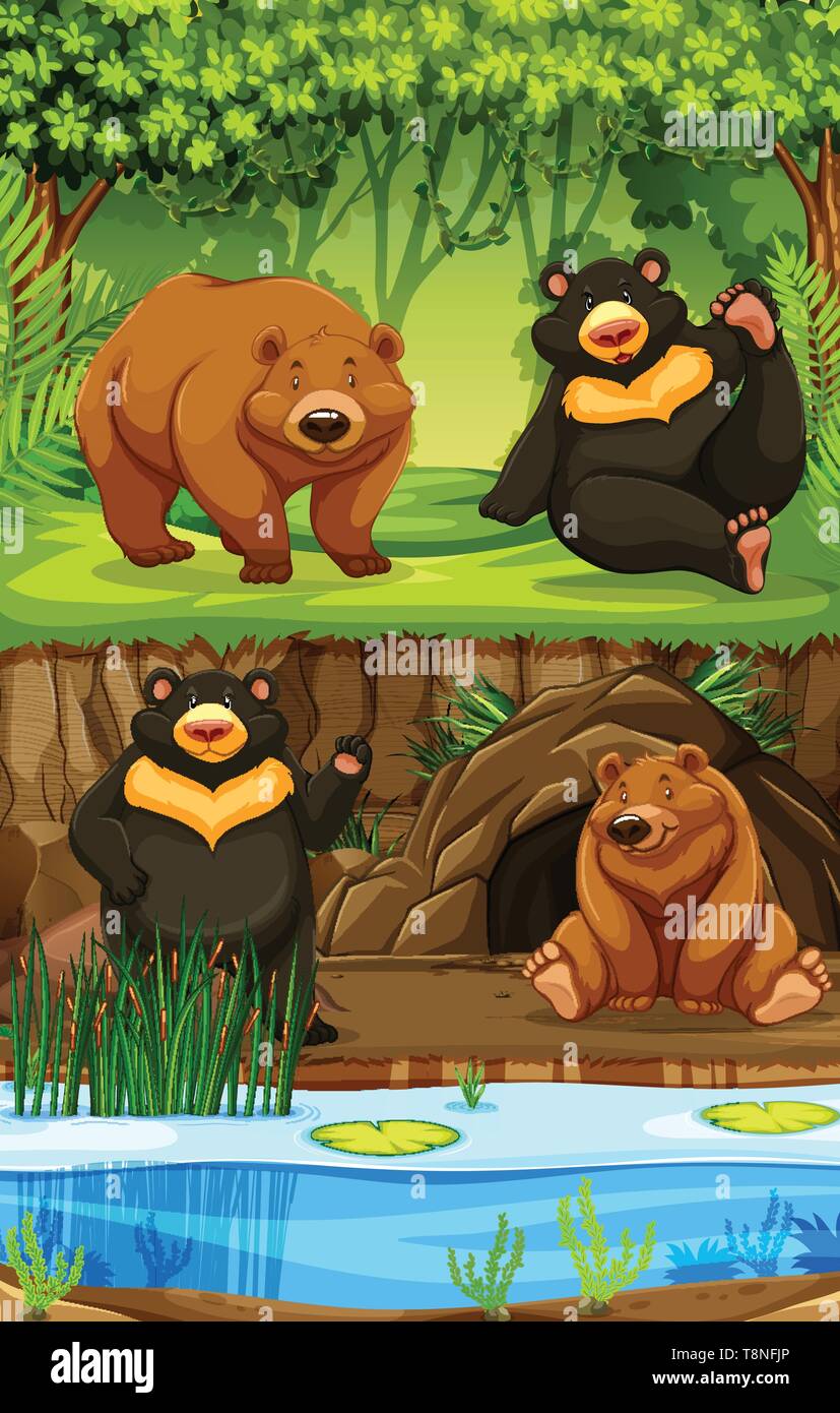 Bears in nature scene illustration Stock Vector Image & Art - Alamy