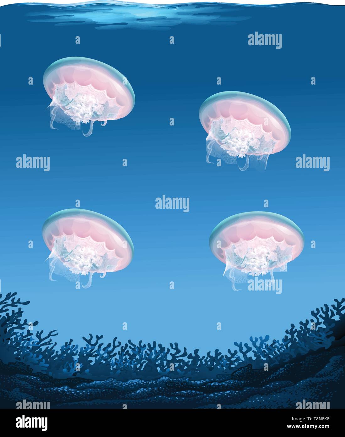 Jellyfish clipart Stock Vector Images - Alamy