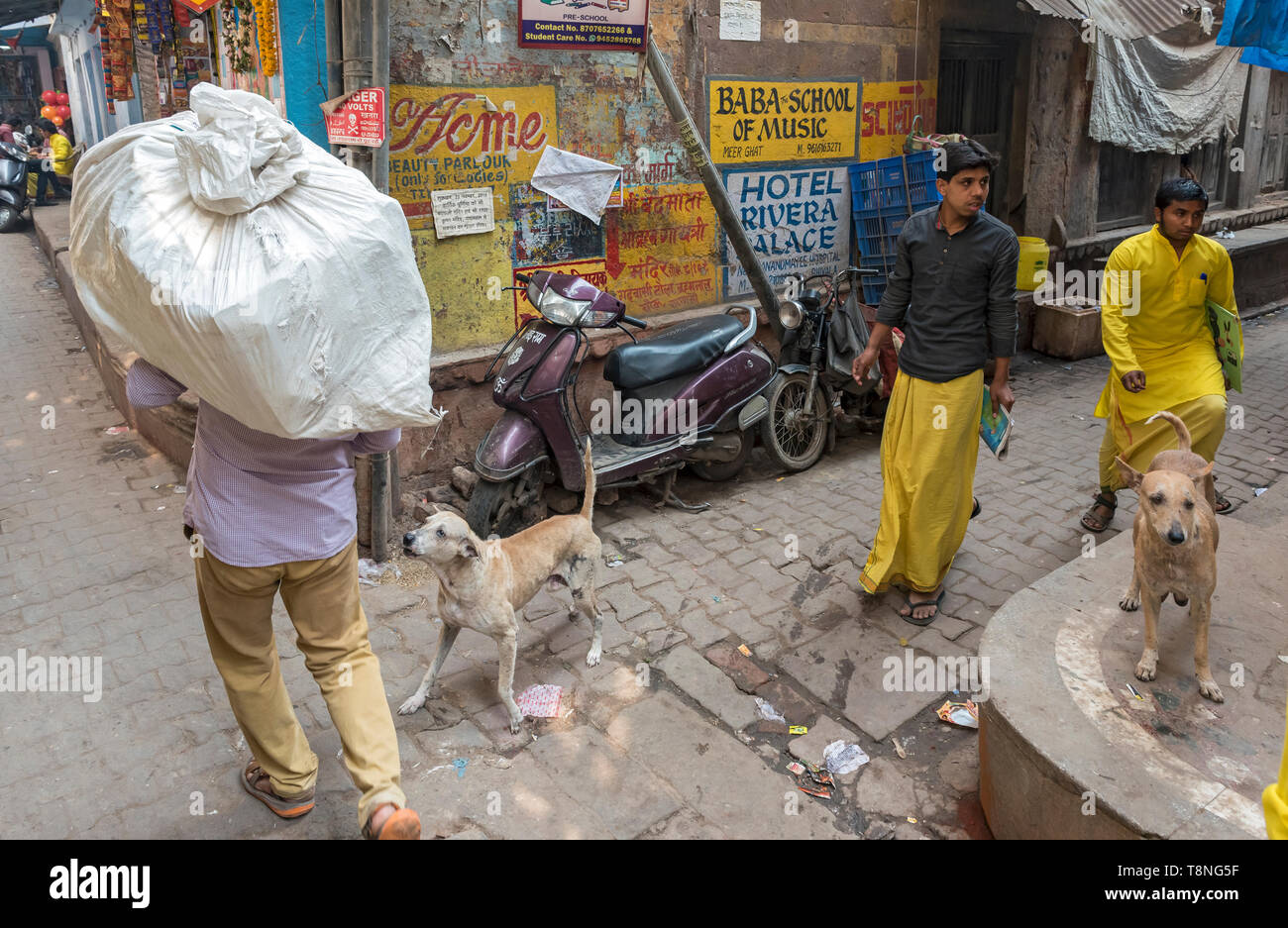 Street scene varanasi india hi-res stock photography and images - Alamy