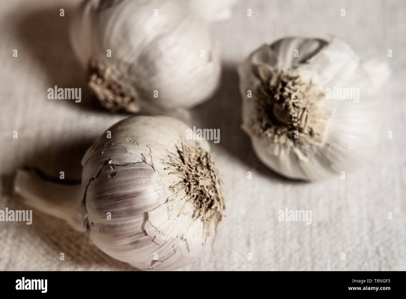 Garlic bulbs on linen fabric background. Close Up Stock Photo - Alamy