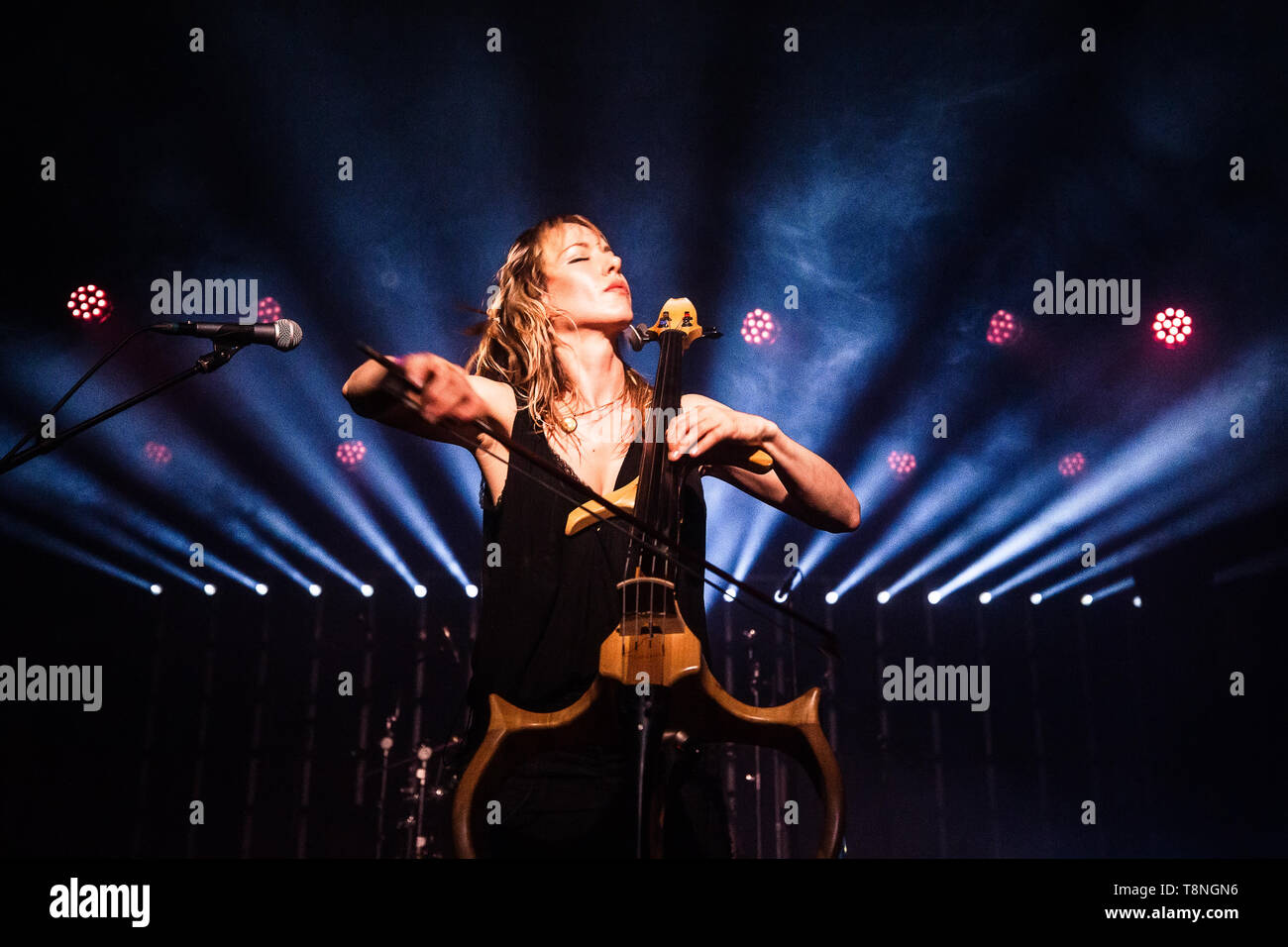 Quail on a rock hi-res stock photography and images - Alamy