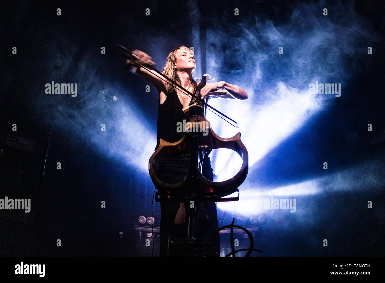 Quail on a rock hi-res stock photography and images - Alamy