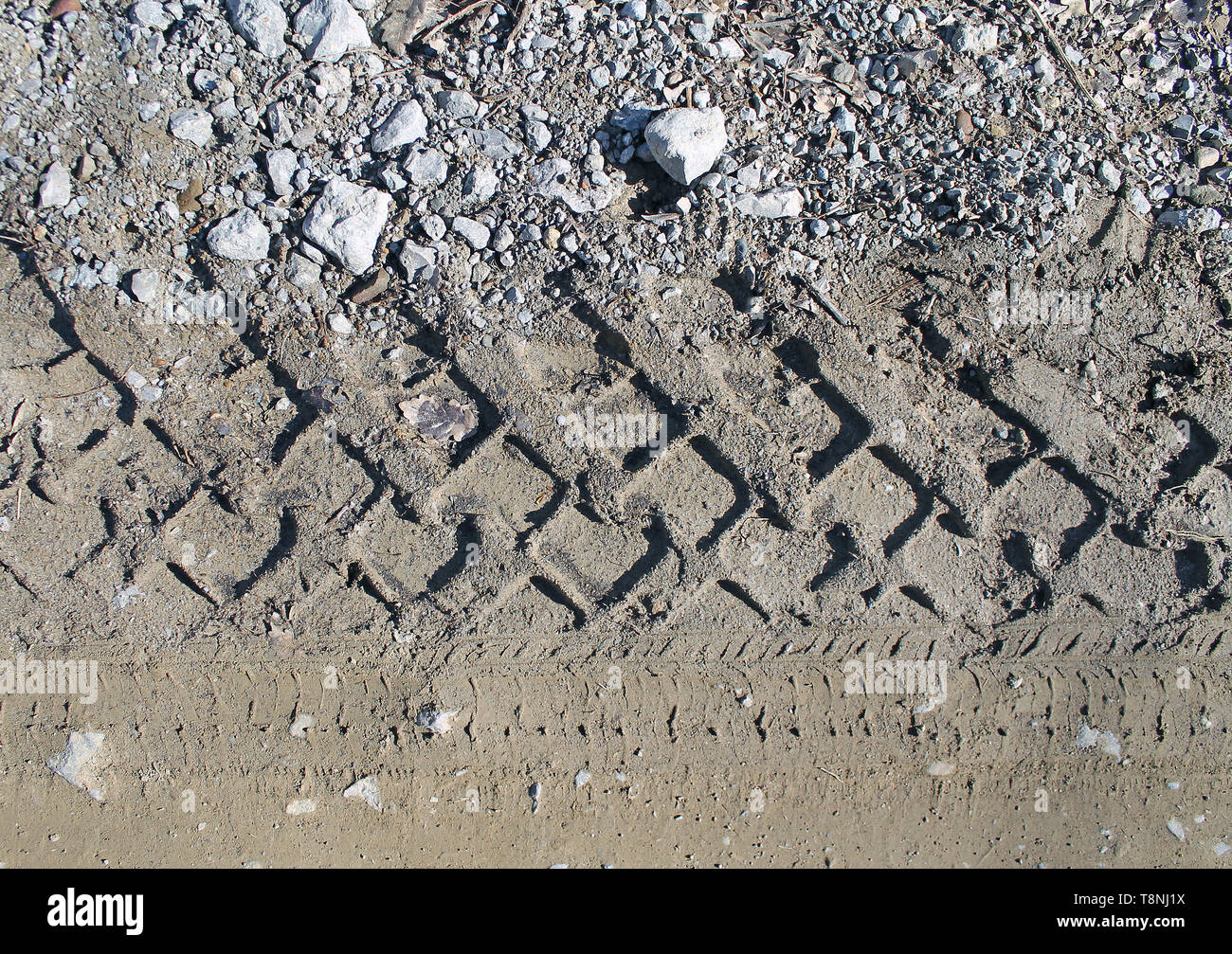 Mud Tracks Background