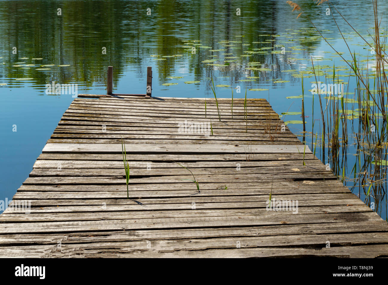 Old rustic wooden jetty on a tranquil lake Stock Photo - Alamy