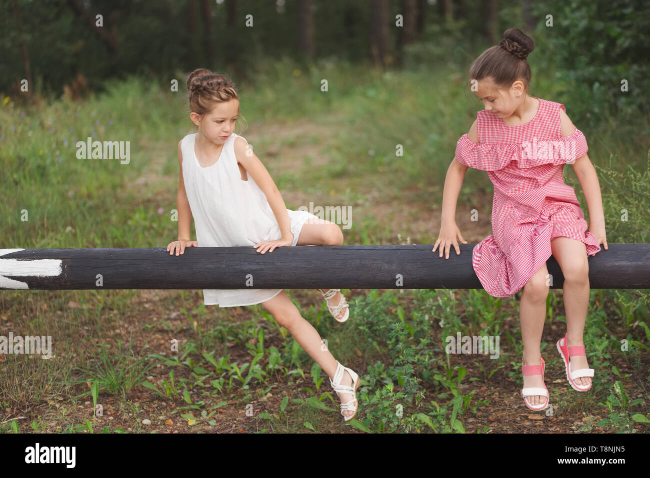 best happy friends playing in summer park Stock Photo - Alamy