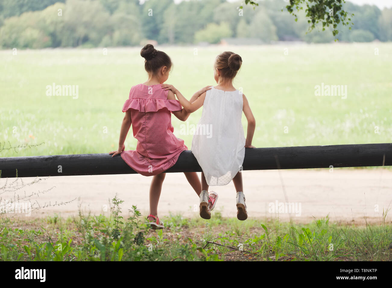 best happy friends playing in summer park Stock Photo - Alamy