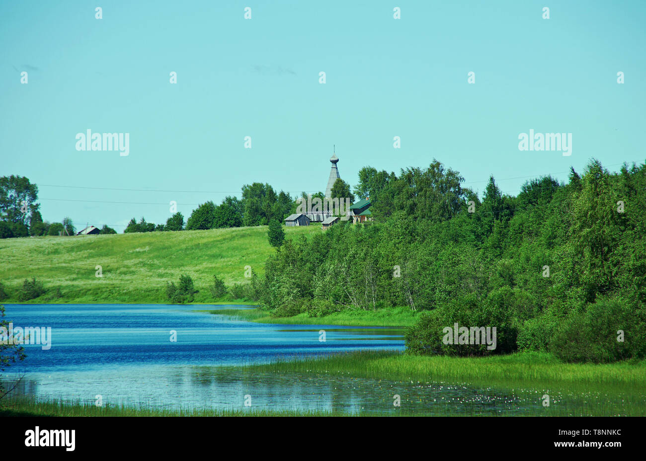 Russian summer meadow.Arkhangelsk region, Russia Stock Photo - Alamy