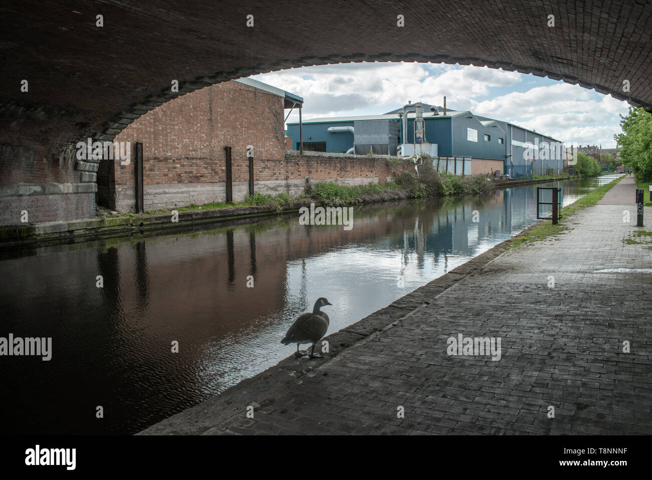 Grand Union canal running through Small Heath, Birmingham Stock Photo ...
