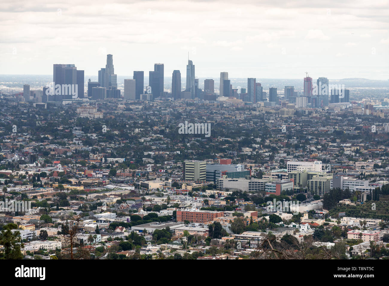 Los Angeles, California, USA: overview from the hills over the city ...