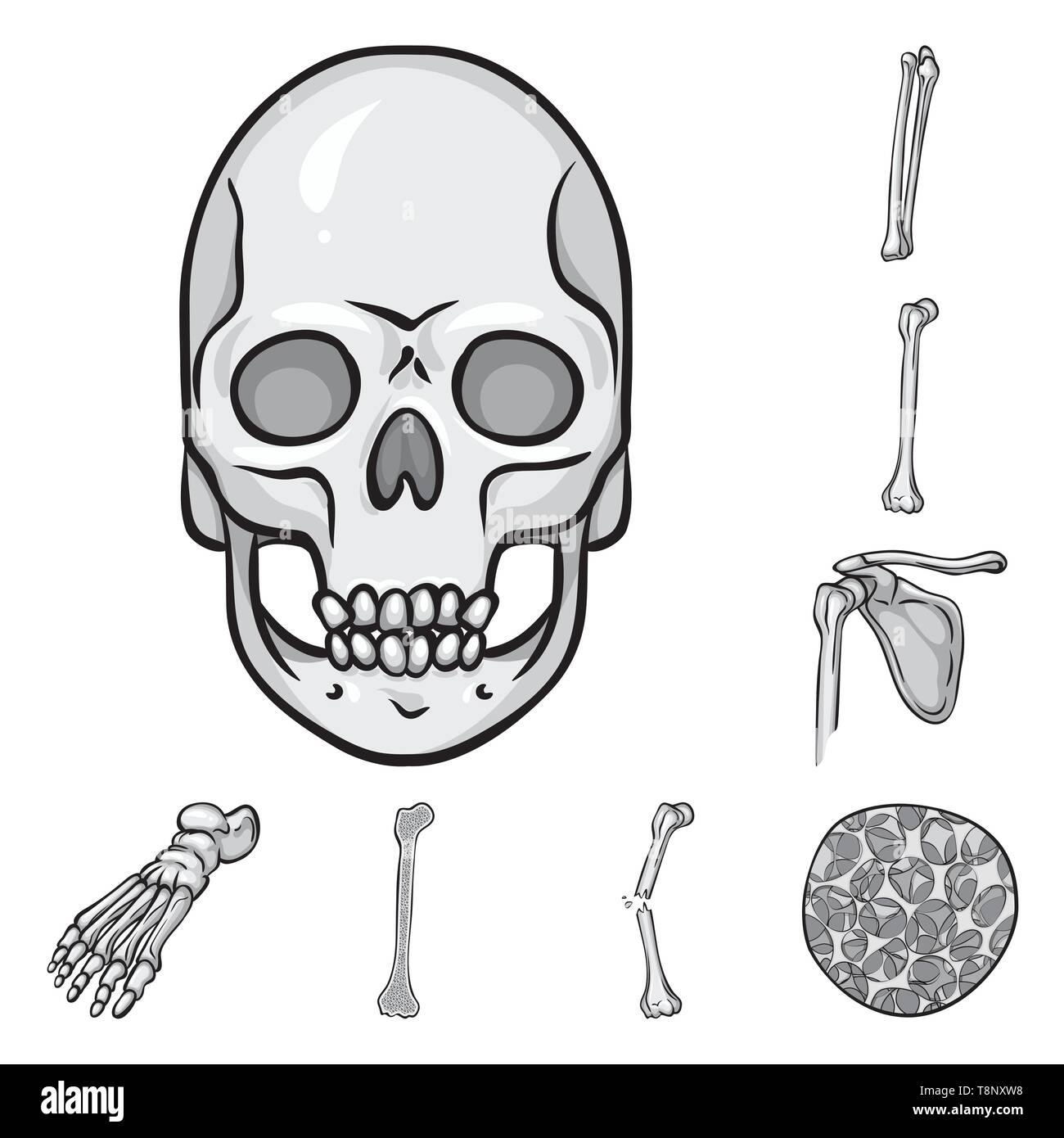 Broken Bone Coloring Page