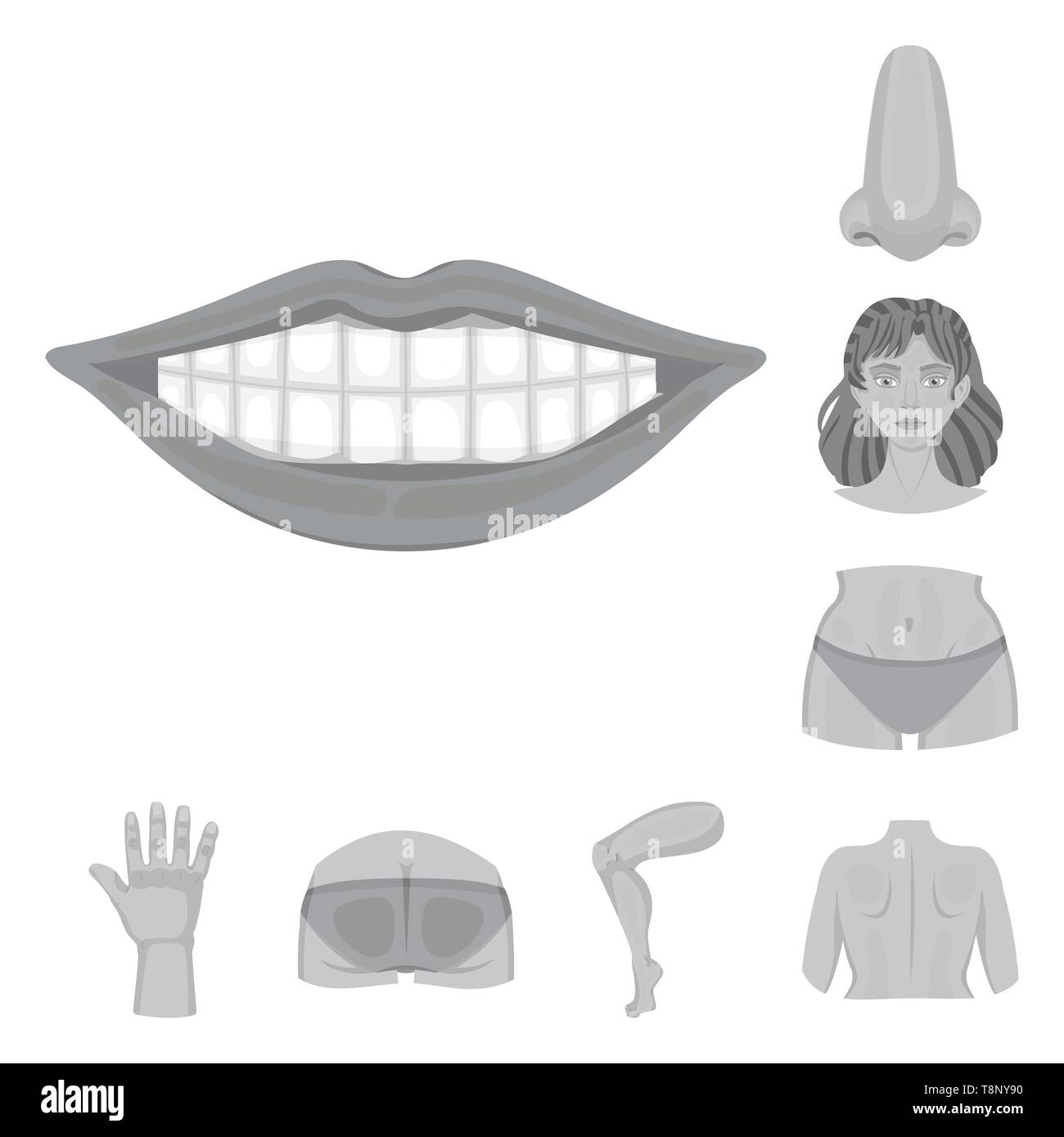 Isolated object of body and part symbol. Set of body and anatomy vector ...