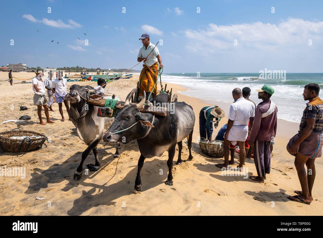 Cart on the beach hi-res stock photography and images - Alamy
