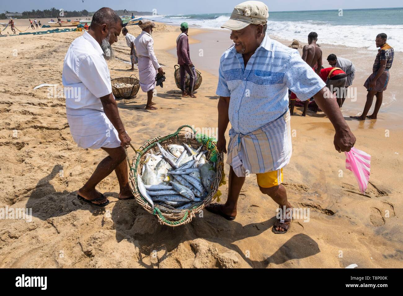 Sri Lanka, Eastern province, Pottuvil, Arugam bay, back from fishing on ... Sri Lanka, Eastern province, Pottuvil, Arugam bay, back from fishing on ...