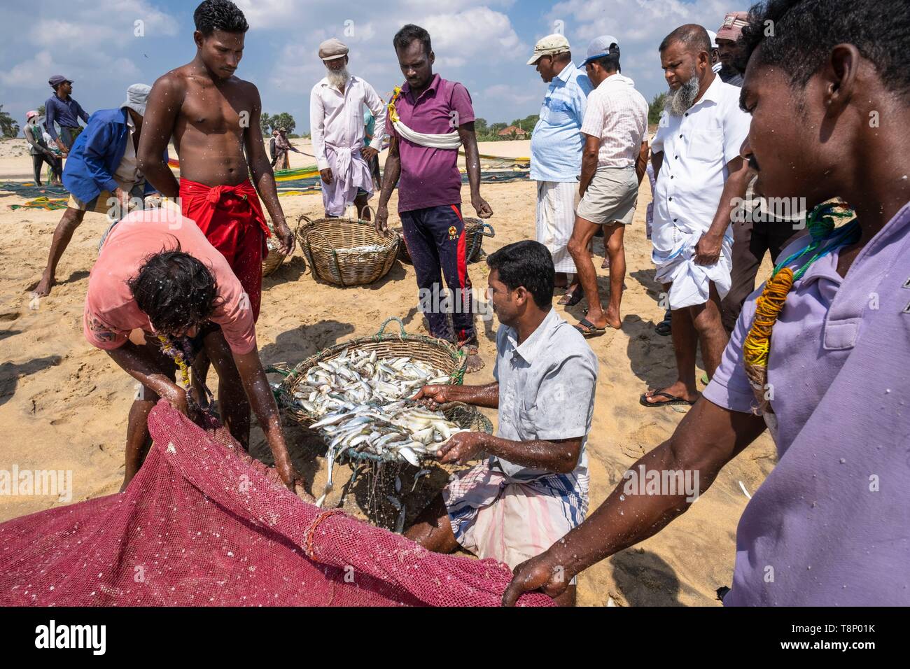 Sri Lanka, Eastern province, Pottuvil, Arugam bay, back from fishing on ...