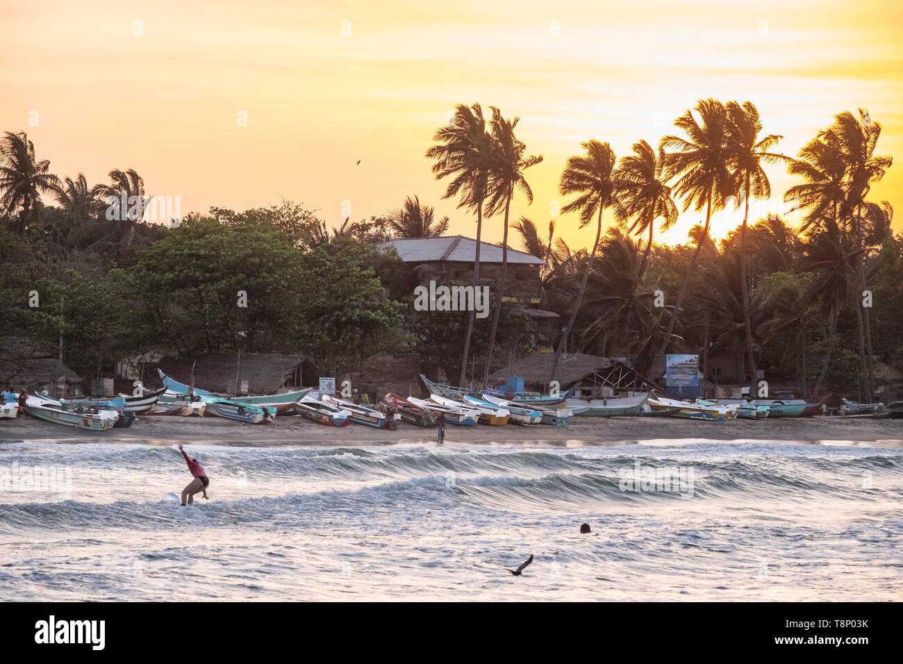 Sri Lanka, Eastern province, Pottuvil, sunset on Arugam bay beach Stock ...