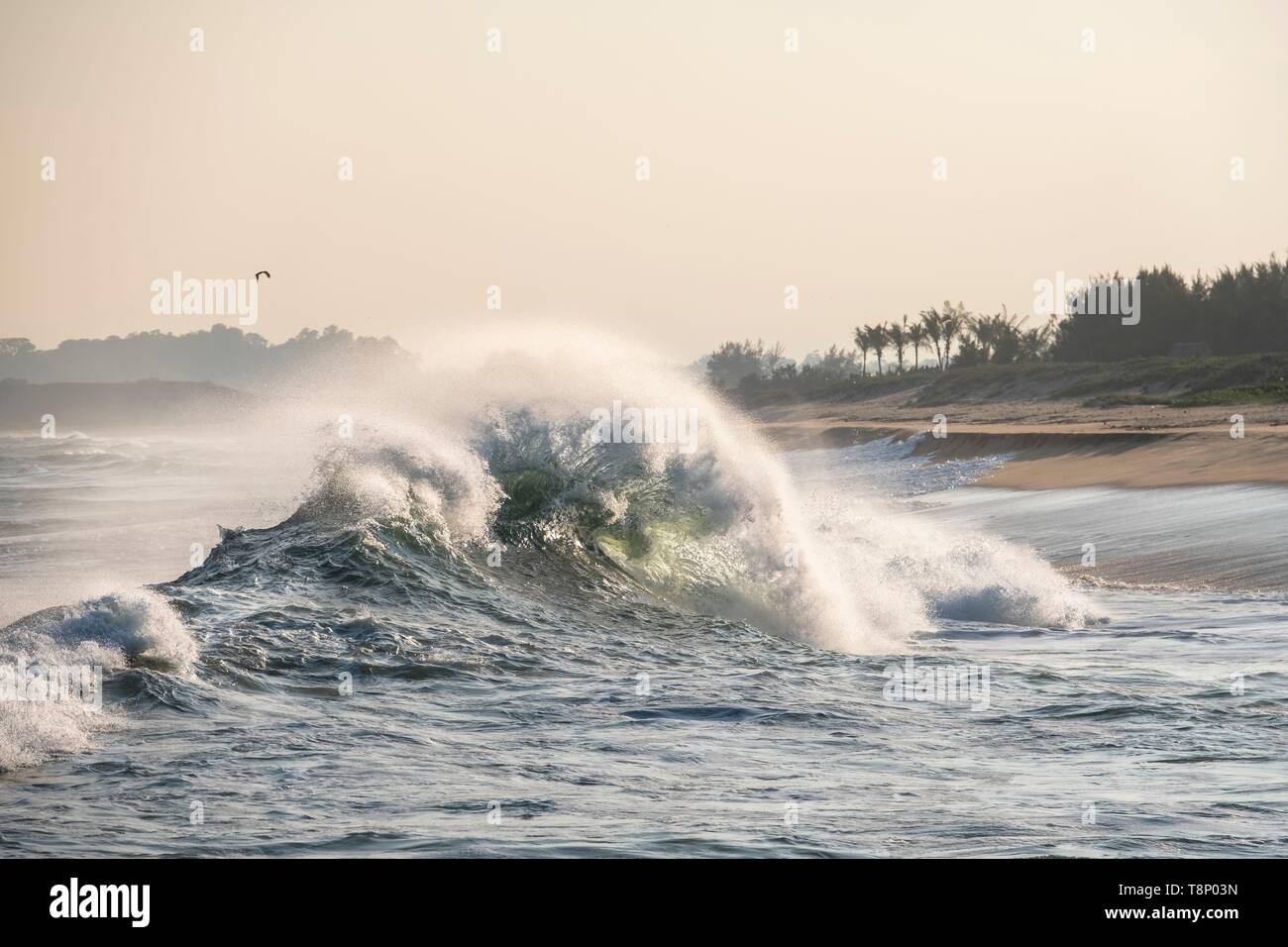 Sri Lanka Wave Stock Photos & Sri Lanka Wave Stock Images - Alamy