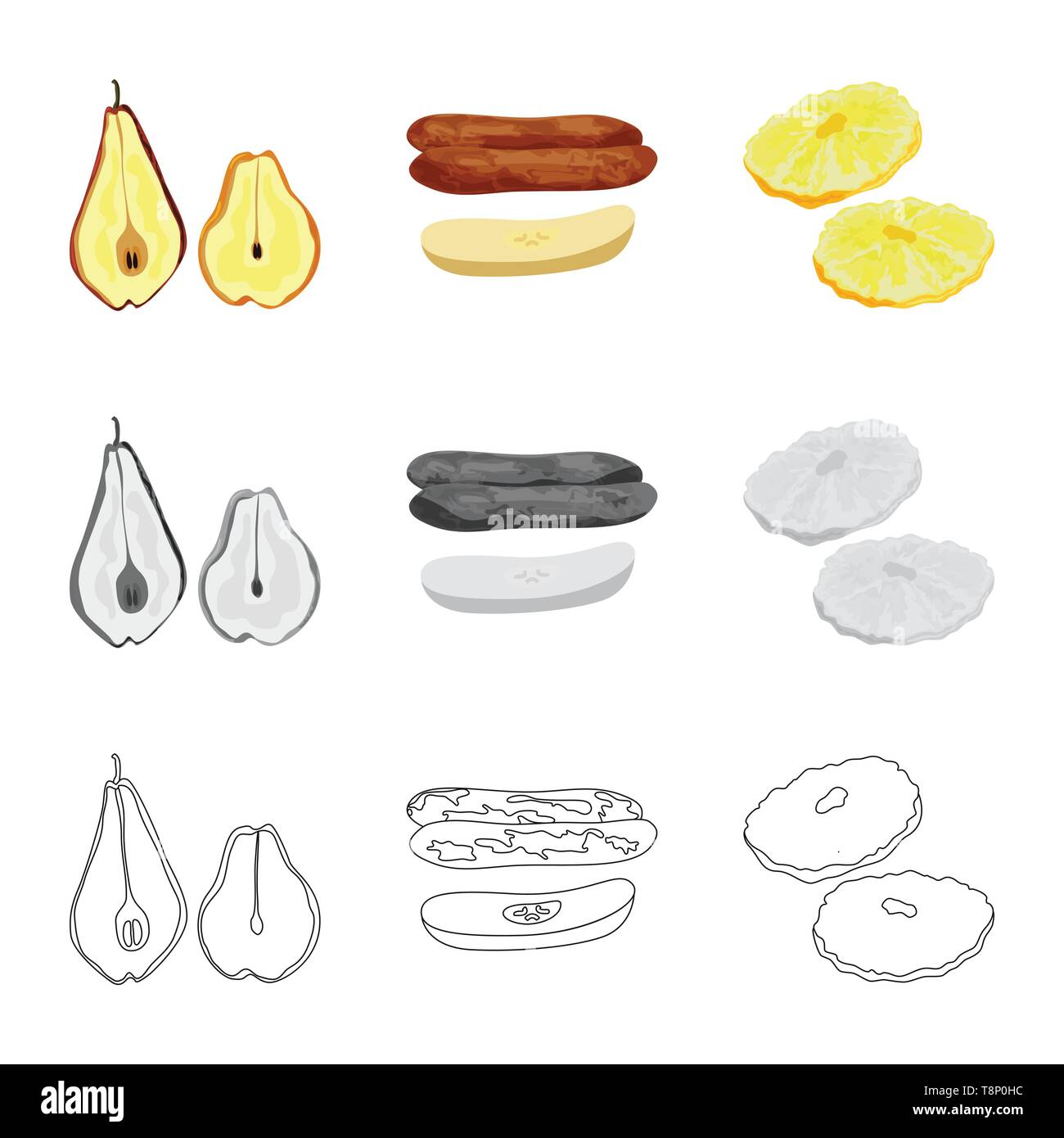 Vector illustration of food and raw icon. Collection of food and nature ...