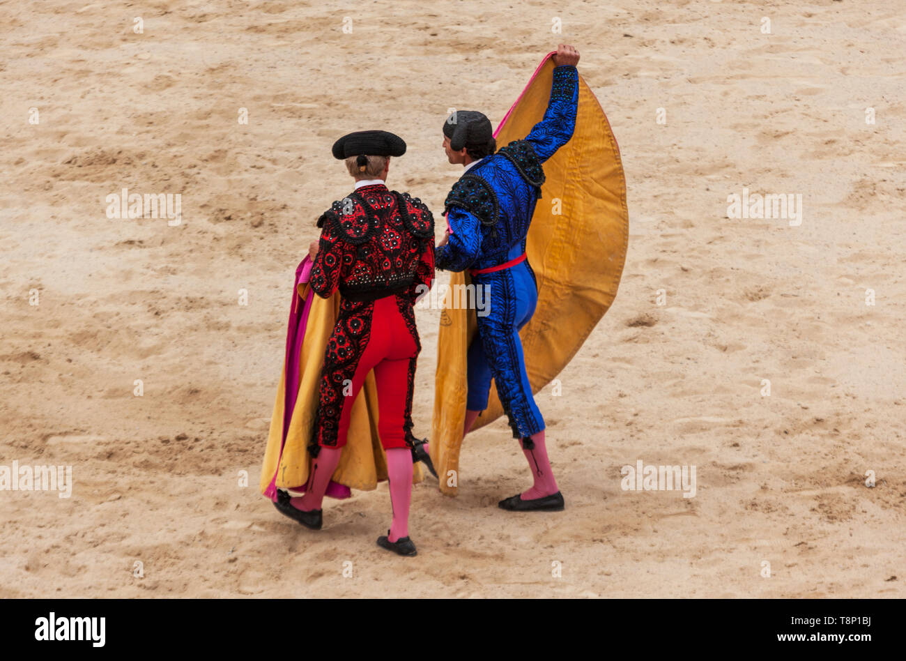 Portuguese matadores in bullfighting ring Stock Photo - Alamy