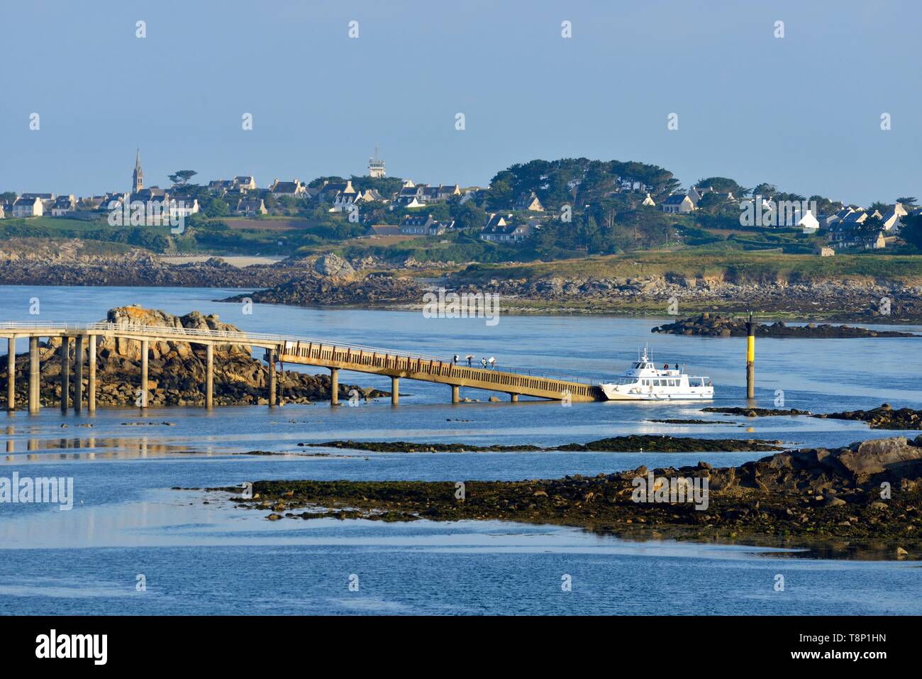 France, Finistere, Iroise Sea, Roscoff, Batz island in the background ...