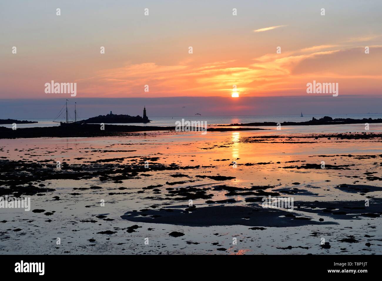 Beach roscoff france hi-res stock photography and images - Alamy