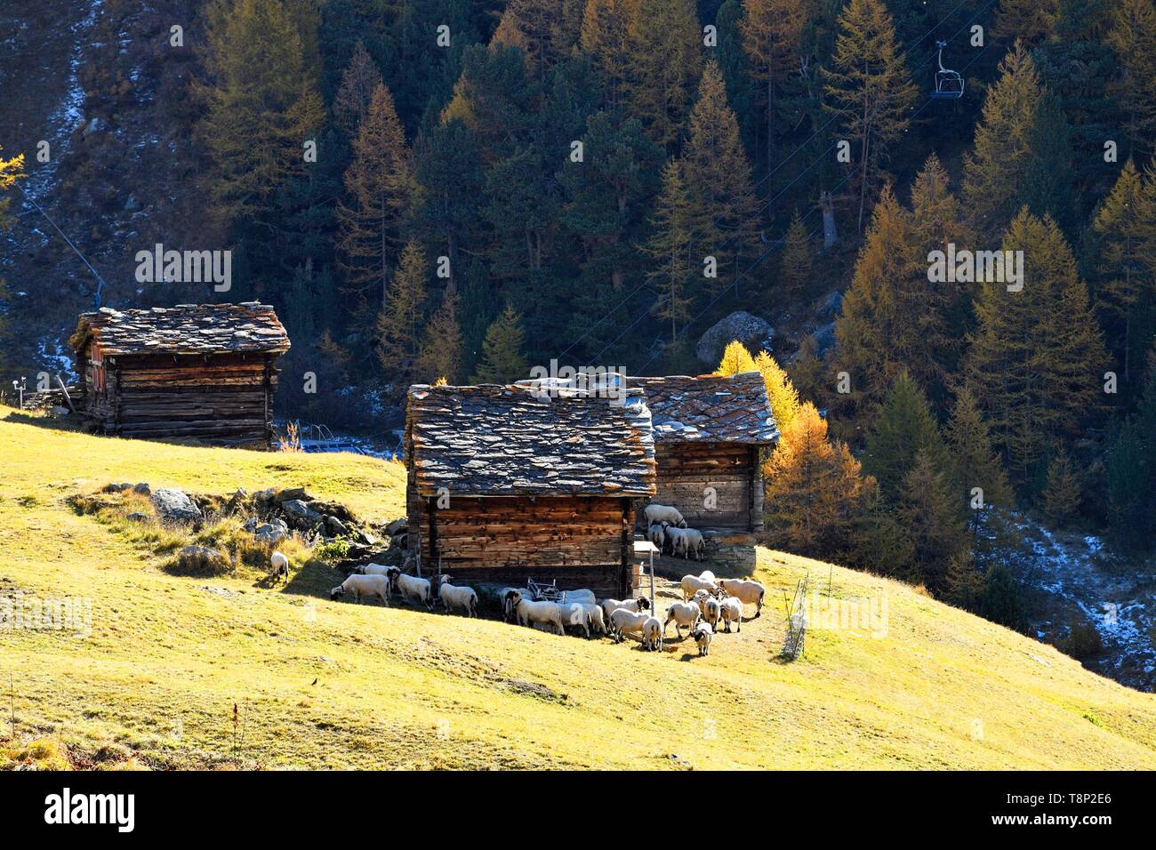 Zermatt findeln hi-res stock photography and images - Alamy