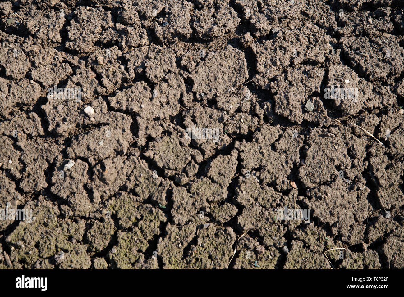 Dry cracked earth background, cracked earth texture Stock Photo - Alamy