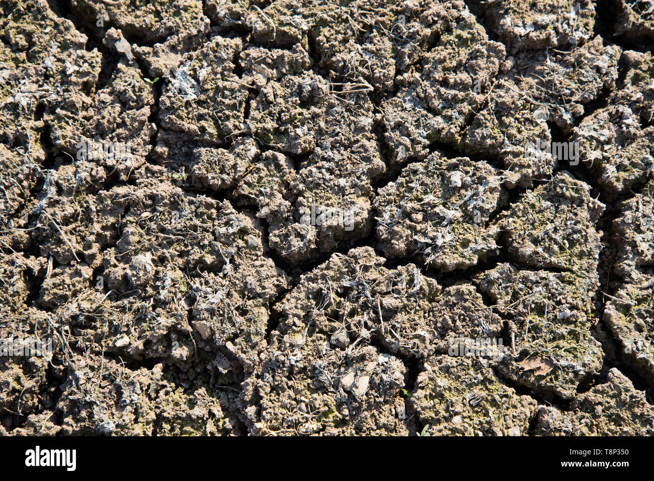 Dry cracked earth background, cracked earth texture Stock Photo - Alamy