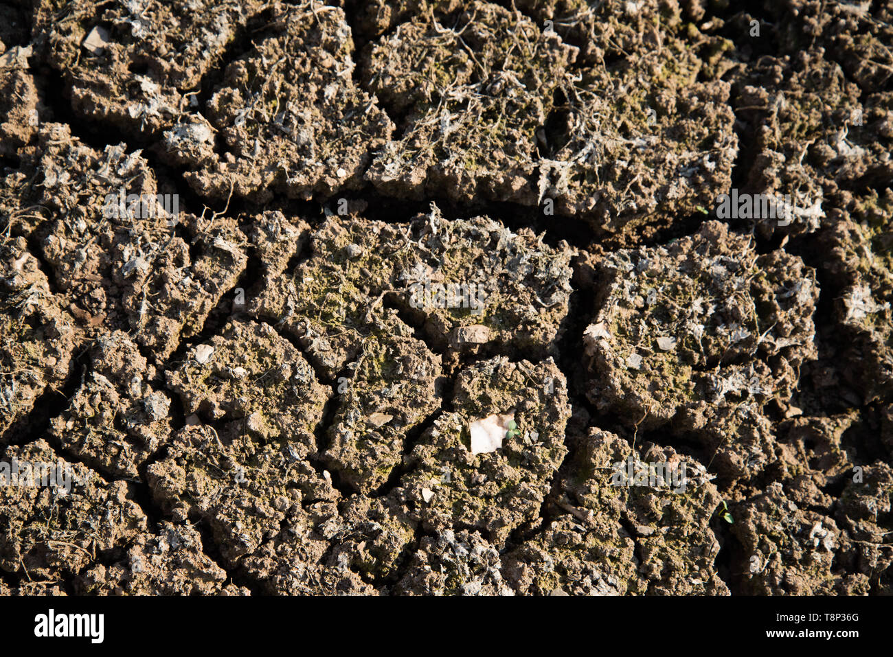 Dry cracked earth background, cracked earth texture Stock Photo - Alamy