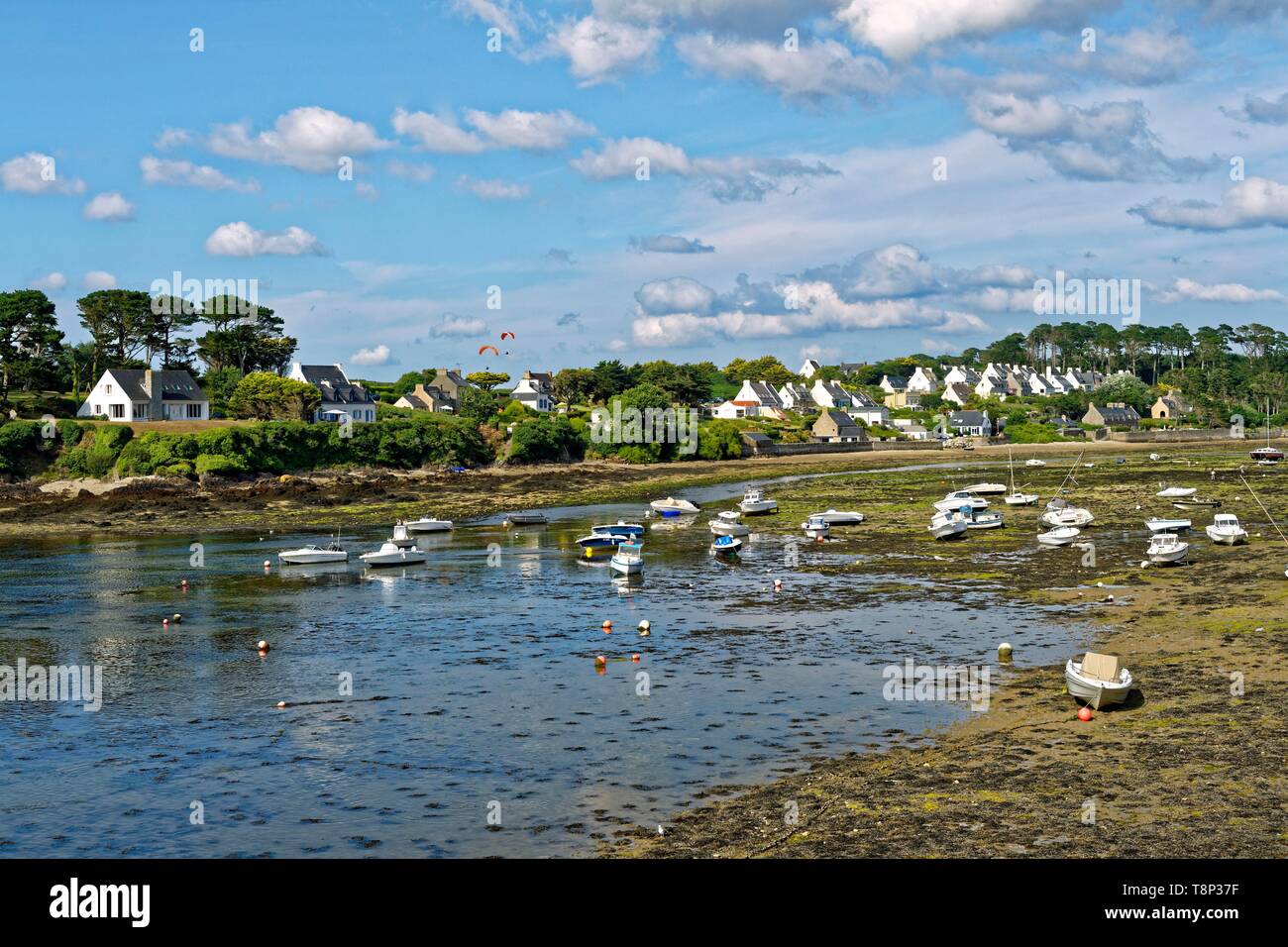 France, Finistere, Iroise see, Armorique Regional natural park, Le ...