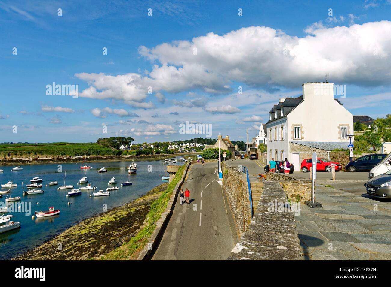 France, Finistere, Iroise see, Armorique Regional natural park, Le ...