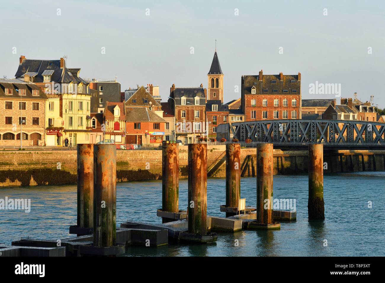 Pollet hi-res stock photography and images - Alamy