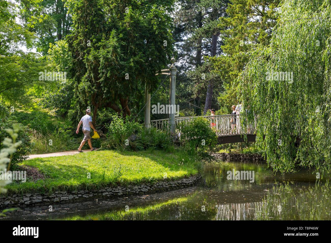 France, Hauts de Seine, Chatenay Malabry, Arboretum de la Vallee Aux ...