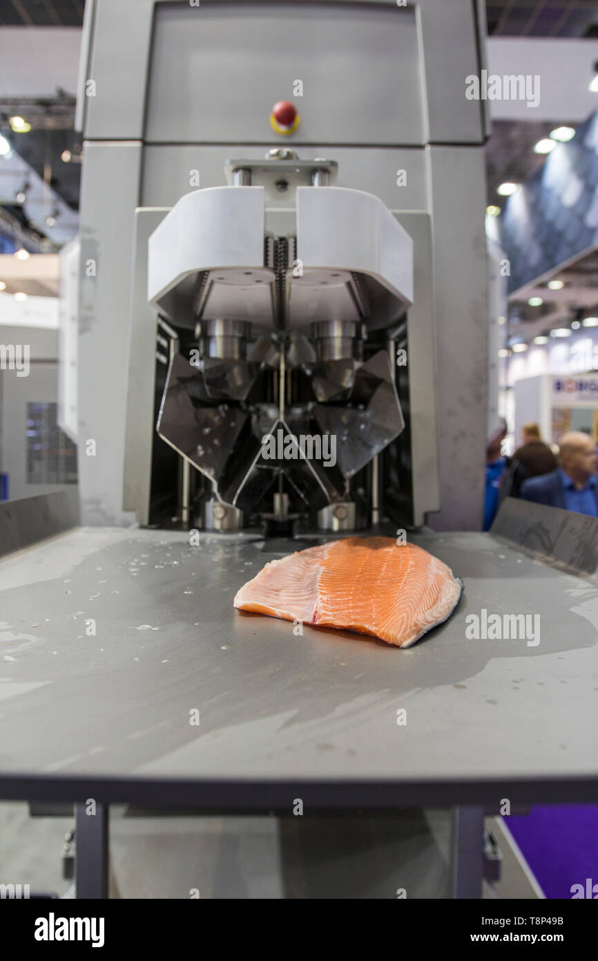 Seafood processing equipment hi-res stock photography and images - Alamy