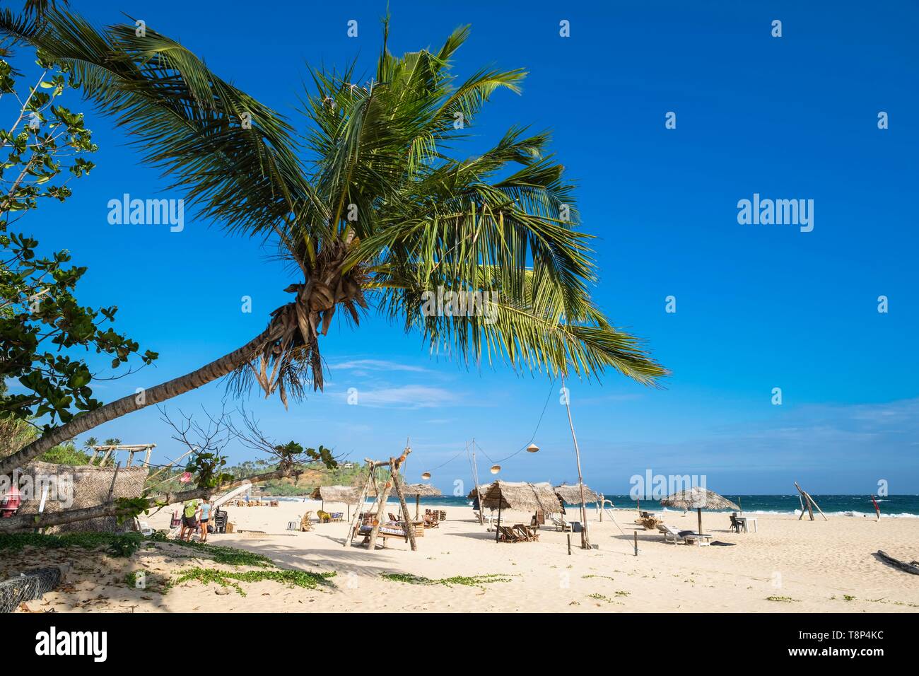 Sri Lanka, Southern province, Talalla beach Stock Photo - Alamy