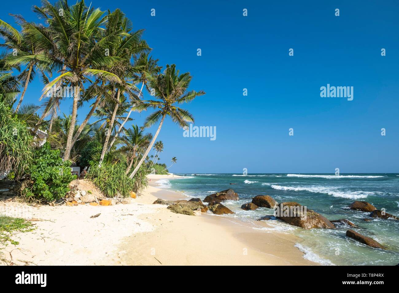 Sri Lanka, Southern province, Matara, Madiha beach Stock Photo - Alamy